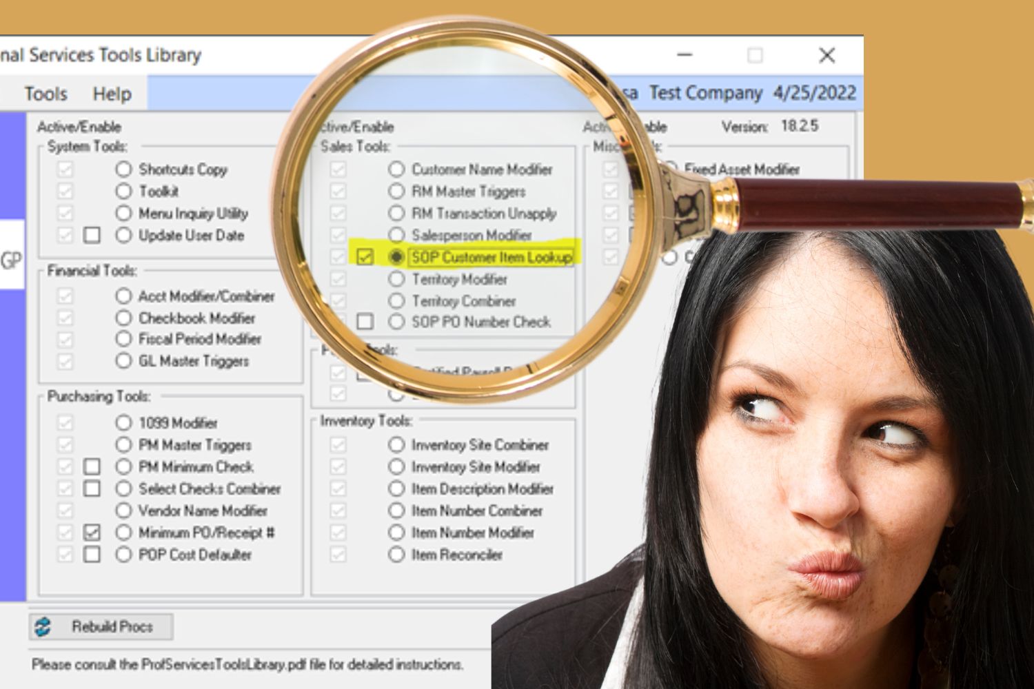 How To Perform Customer Item Lookup in GP